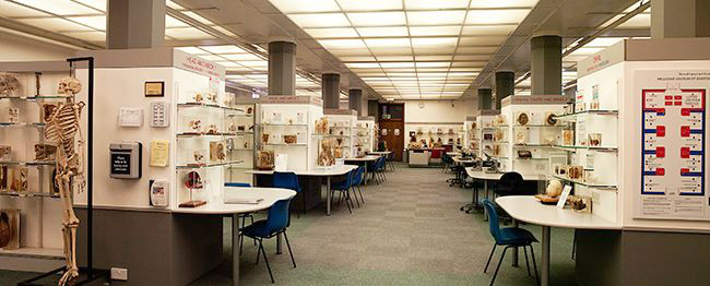 Wellcome Museum of Anatomy and Pathology, London - LondonNet
