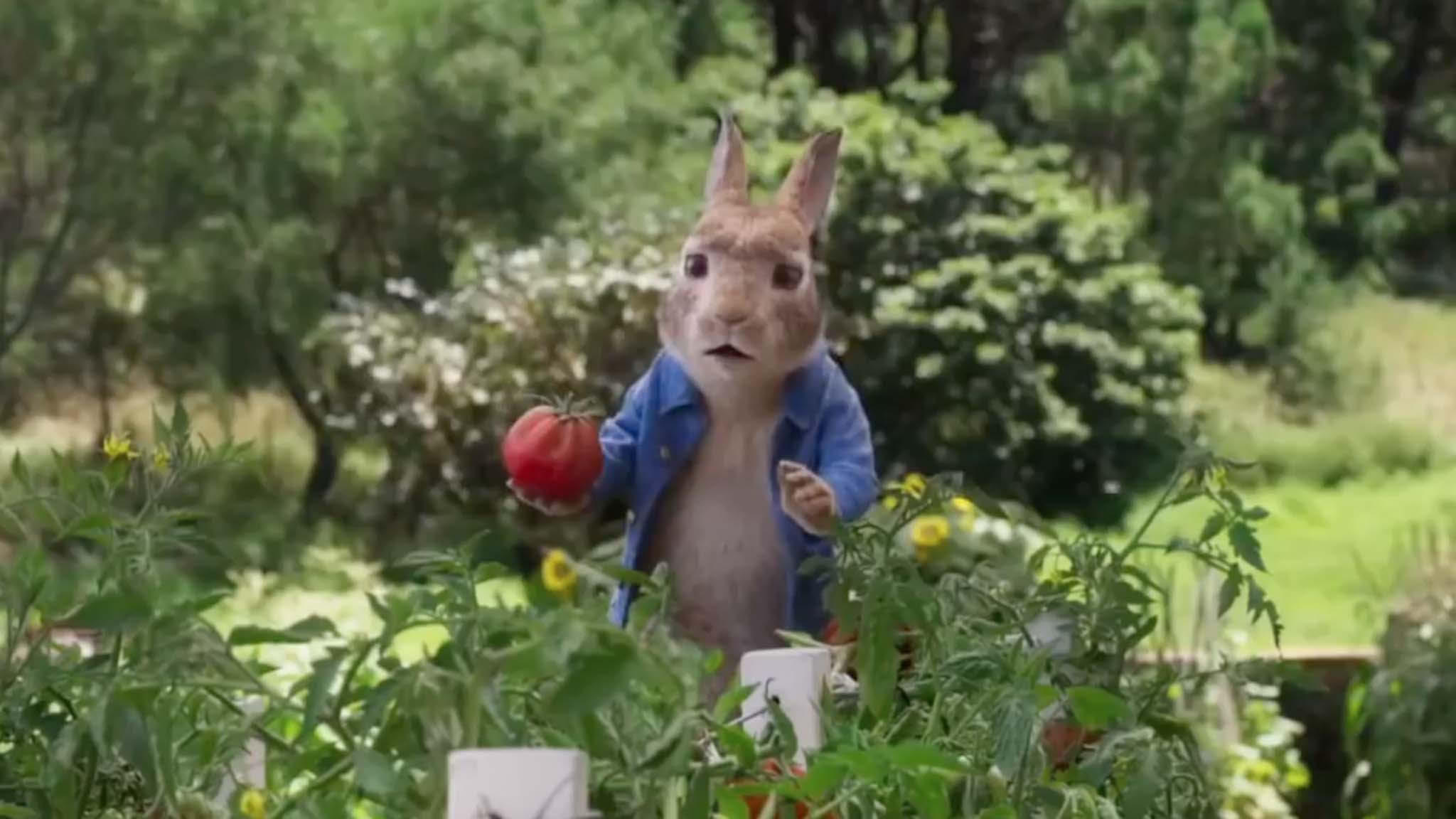 Peter Rabbit 2 (Subtitled) - Film Review and Listings
